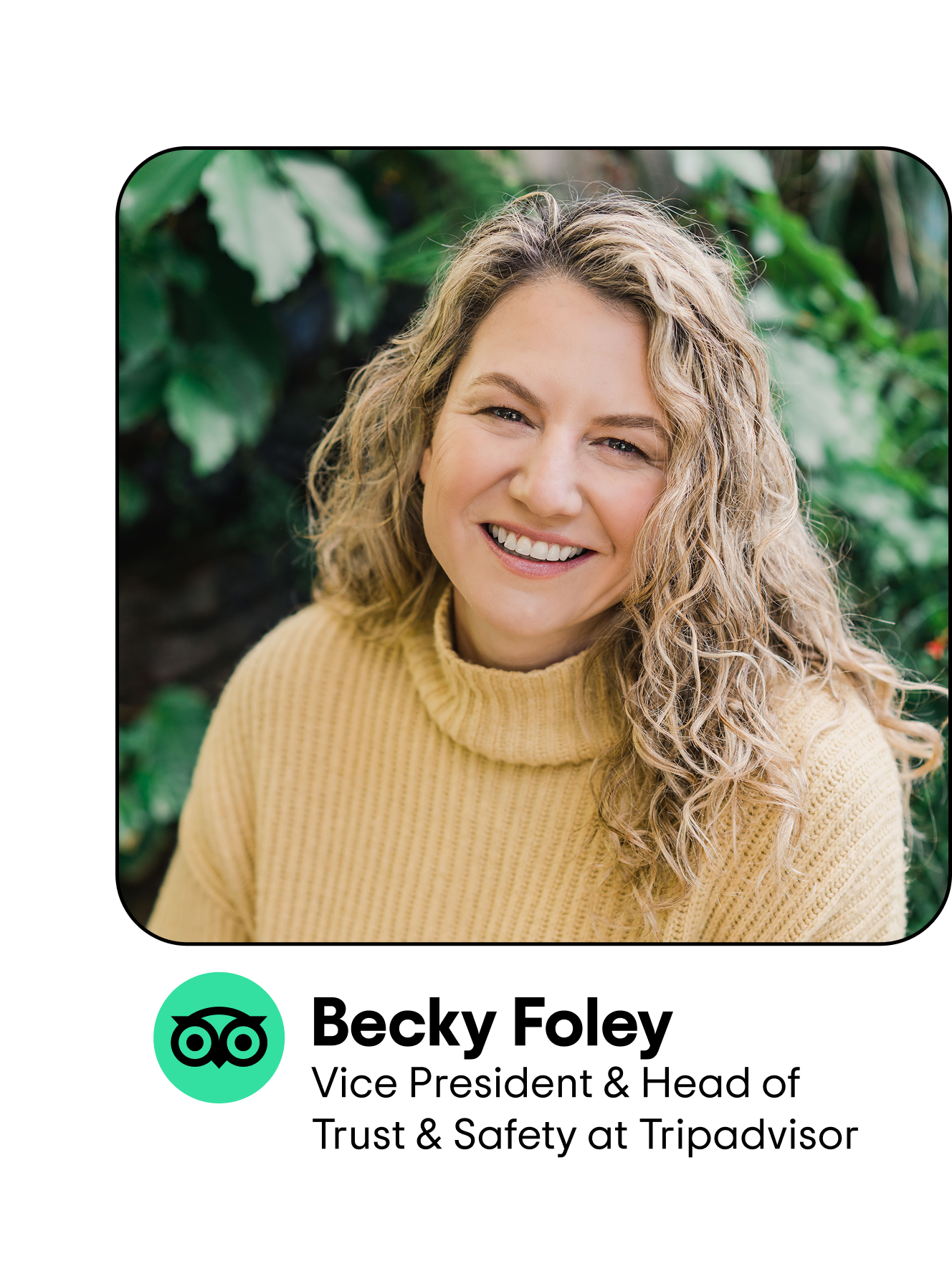 Transparency Report 2025